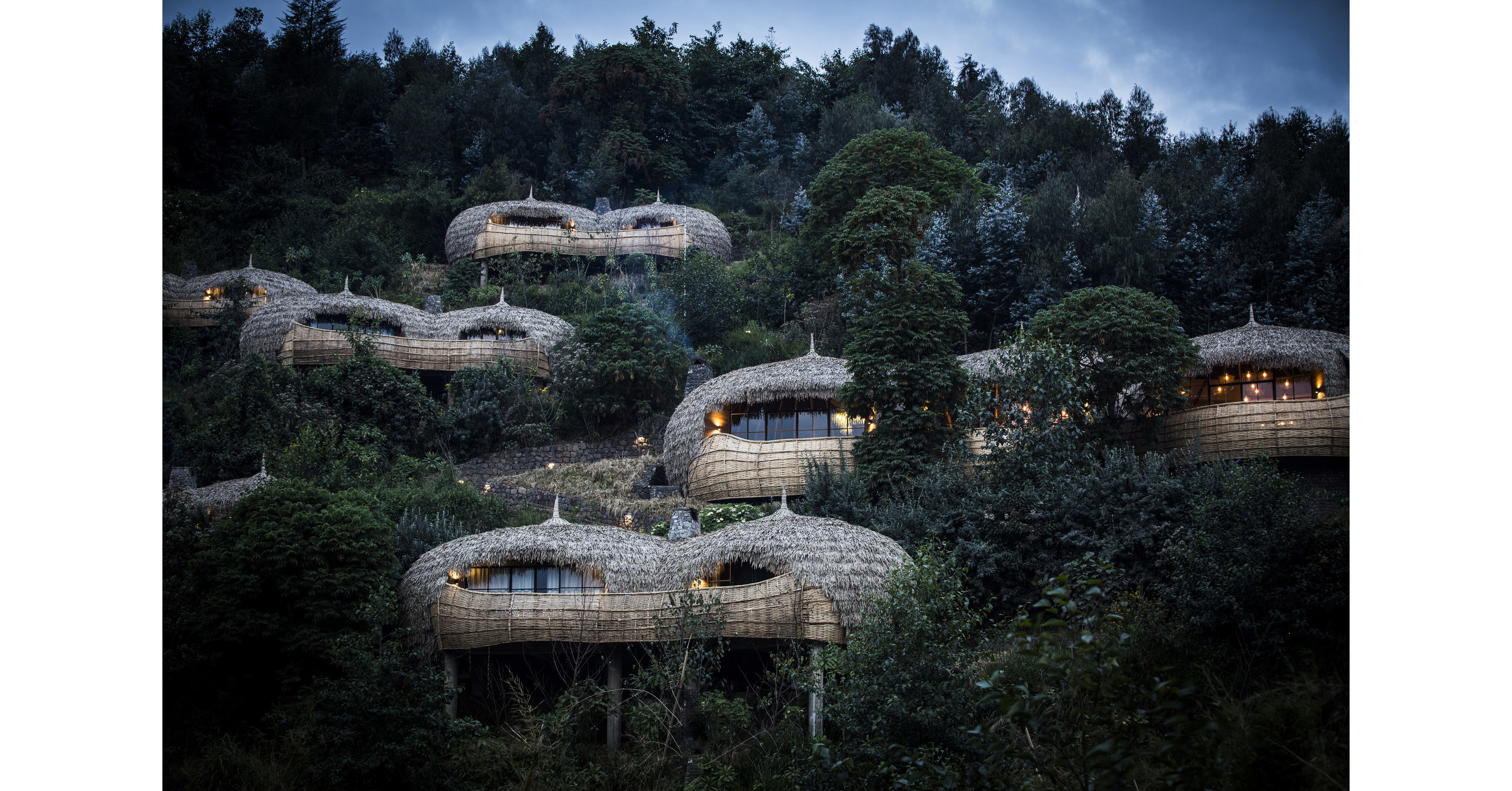 Introducing Beyond Green: A Purpose-driven Hospitality Brand Dedicated ...