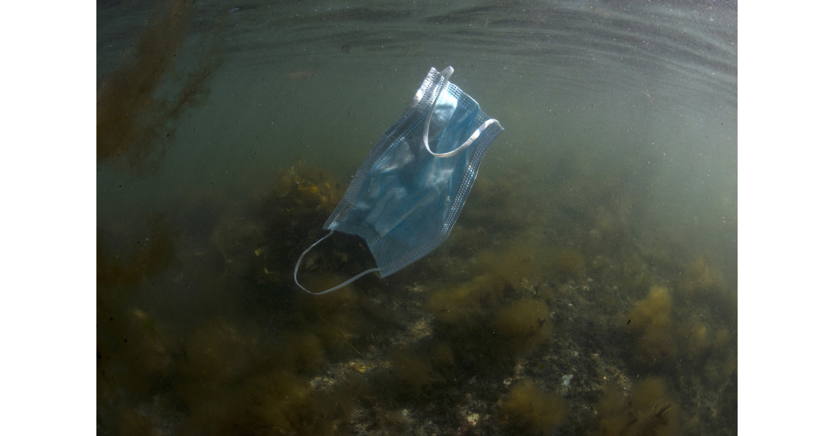 MOO And The Ocean Agency Launch Creative Initiative To Raise Awareness ...