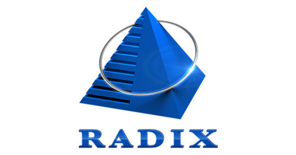 Radixweb Surges Ahead With Rapid Expansion Plan - Launches New ...