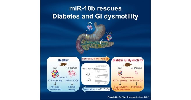 The world's first-in-class miRNA therapeutics to cure diabetes by ...