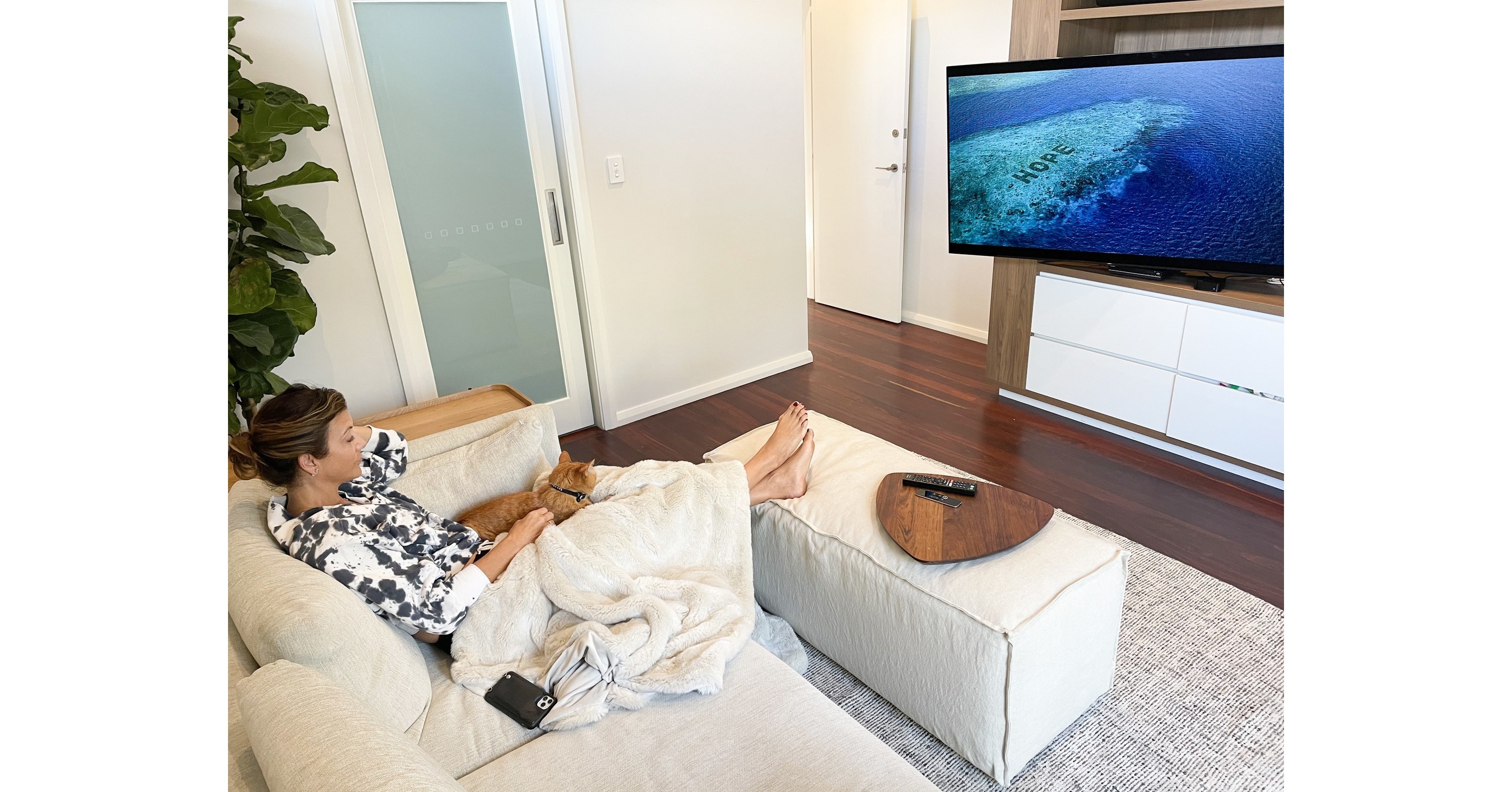 SHEBA® Brand Partners With Kate Walsh To Launch The World's Largest ...