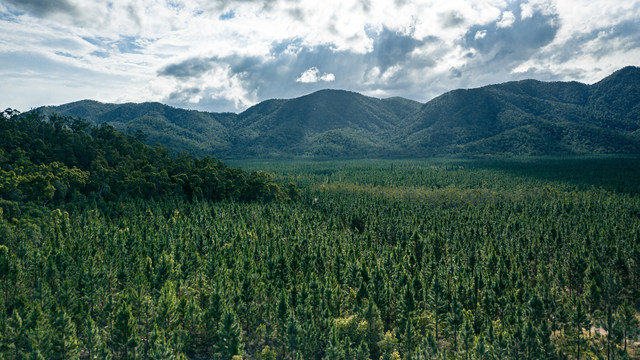 Manulife Announces Journey To Net Zero Manulife Announces Journey To Net Zero