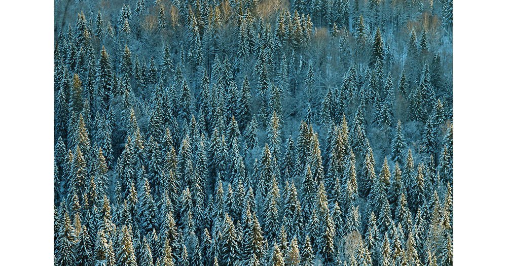 US Forest Service Fire and Aviation Management Selects Alpha Omega ...