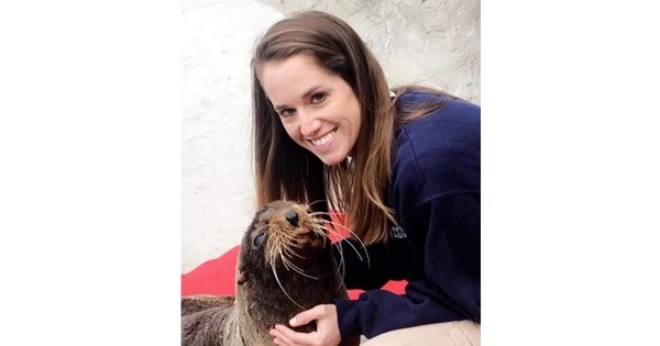 Advances In Animal Medicine Provide New Hope For Senior Dogs, Diabetic ...