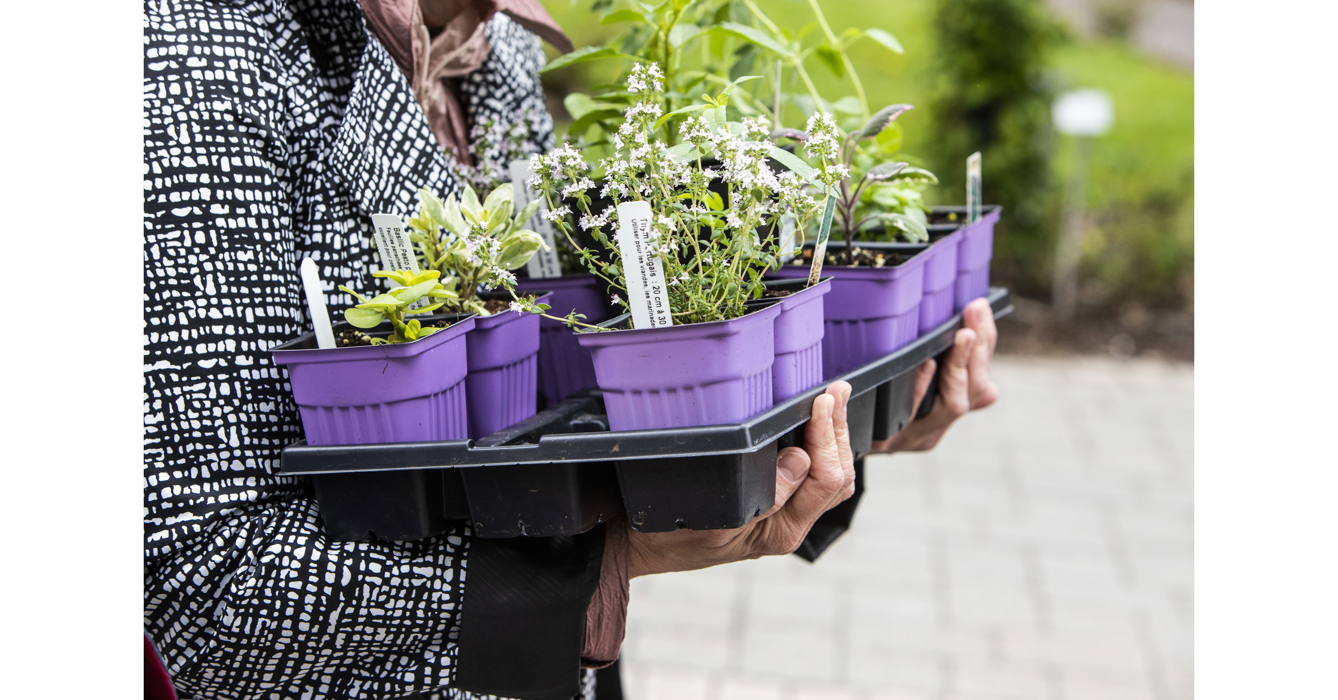 The Little Great Gardening Weekend and its virtual version - Bring on ...