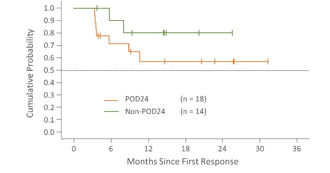 MEI Pharma and Kyowa Kirin Announce New Clinical Data on Zandelisib at ...