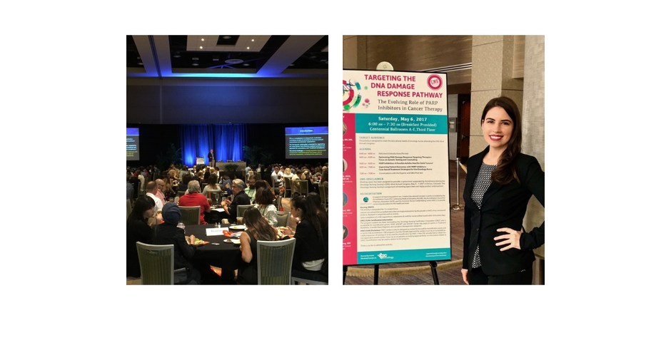 KnowFully Learning Group Acquires Creative Educational Concepts