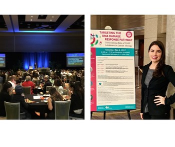 KnowFully Learning Group Acquires Creative Educational Concepts