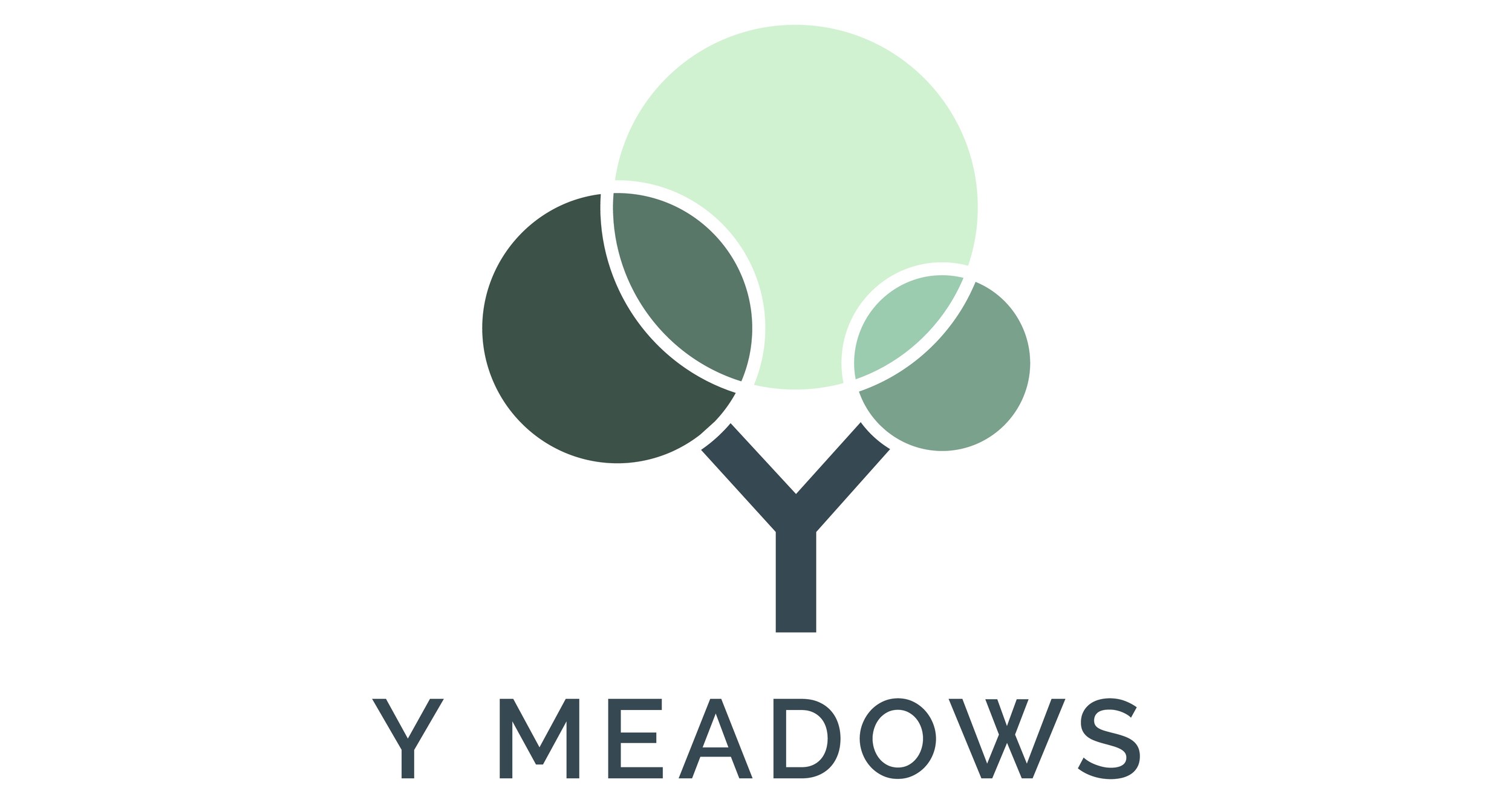 Y Meadows Launches New AI Customer Service Automation Solution