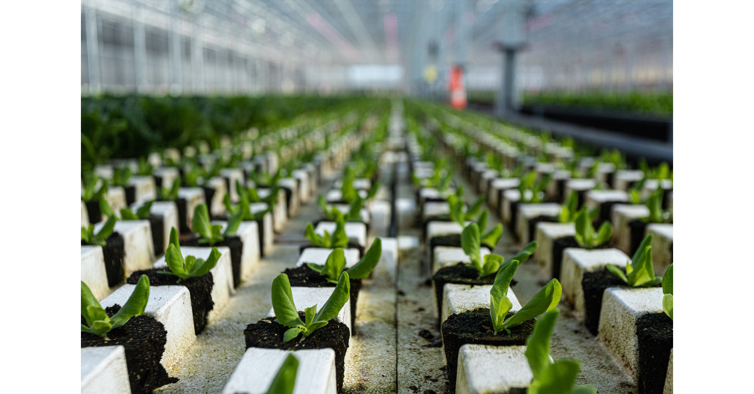 Revol Greens Expands to Temple, Texas