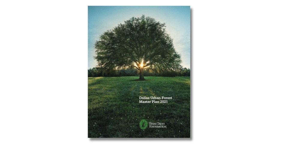 Texas Trees Foundation Presents the First Urban Forest Master Plan to ...