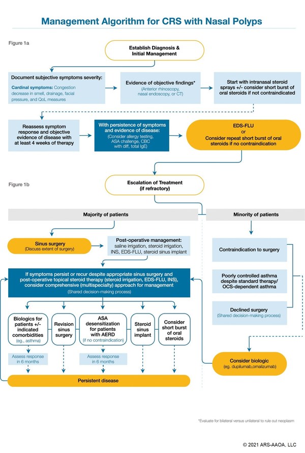 Experts Issue New Treatment Algorithm for Chronic Rhinosinusitis with ...