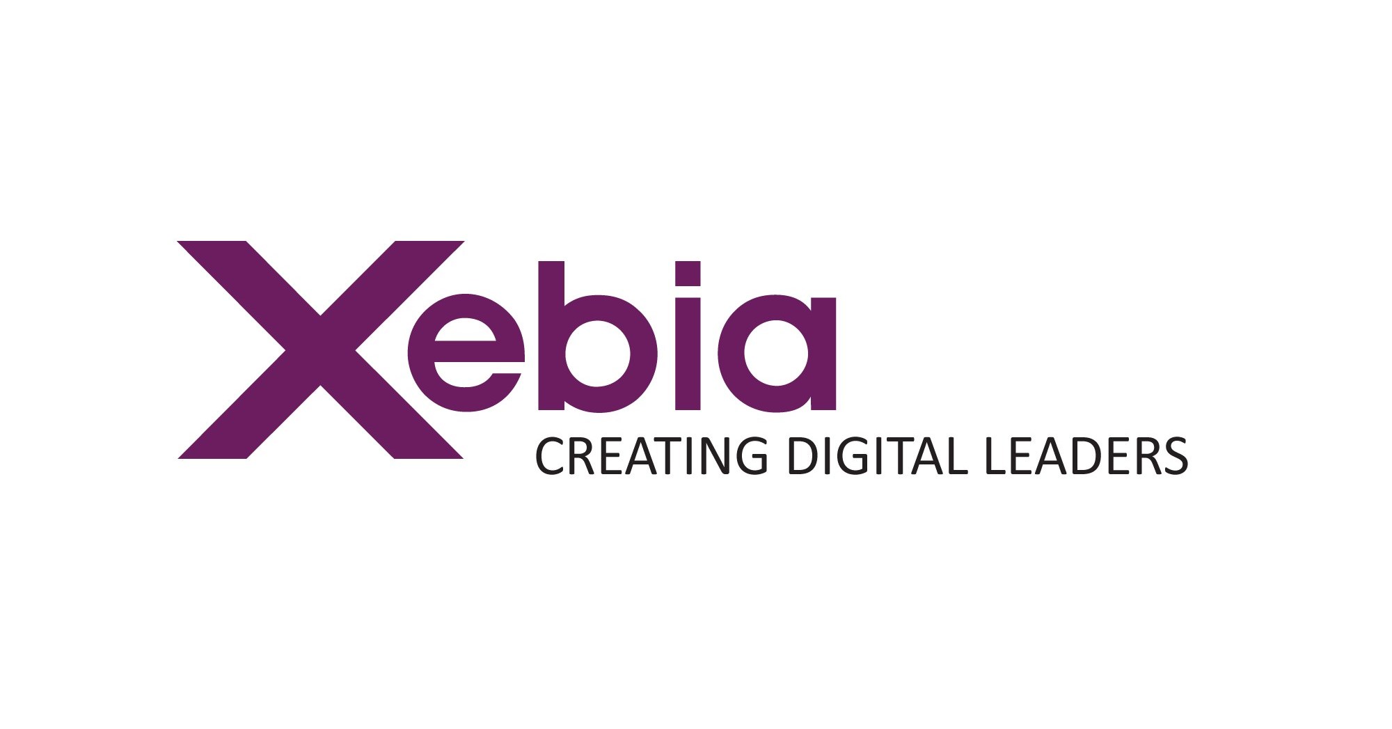Global IT consultancy firm Xebia Group acquires Appcino to accelerate ...