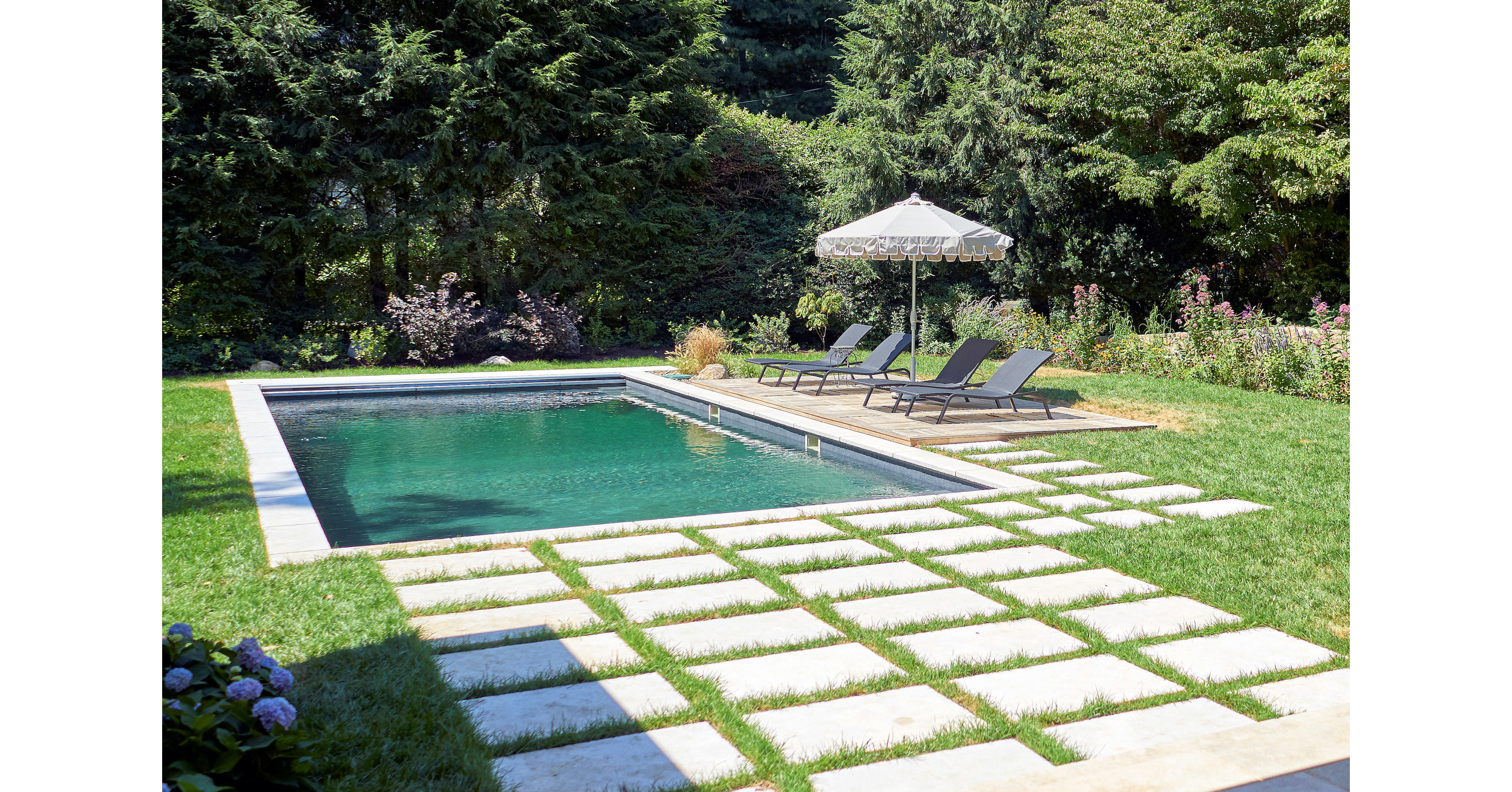 Pool Chemical Shortages Push Sales of Chemical-Free Natural Swimming Pools