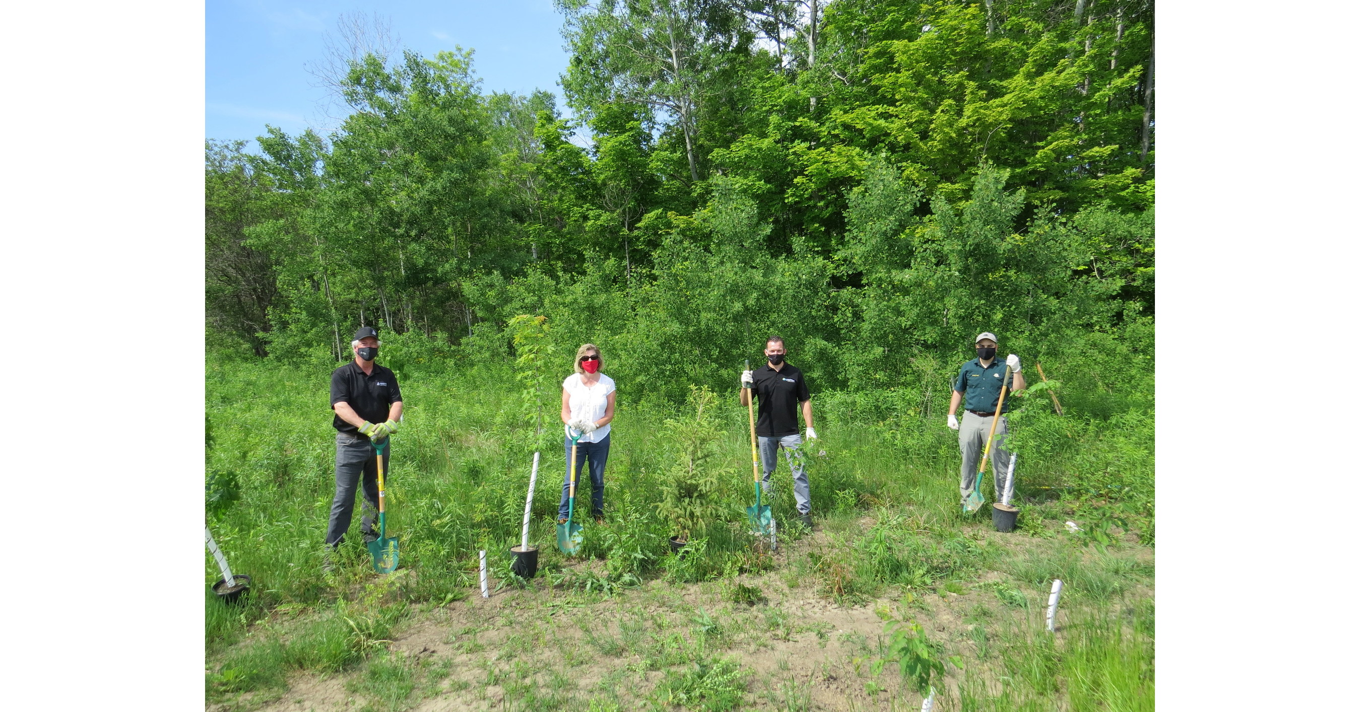 Planting in National Parks Underway as Part of Canada's Two Billion ...