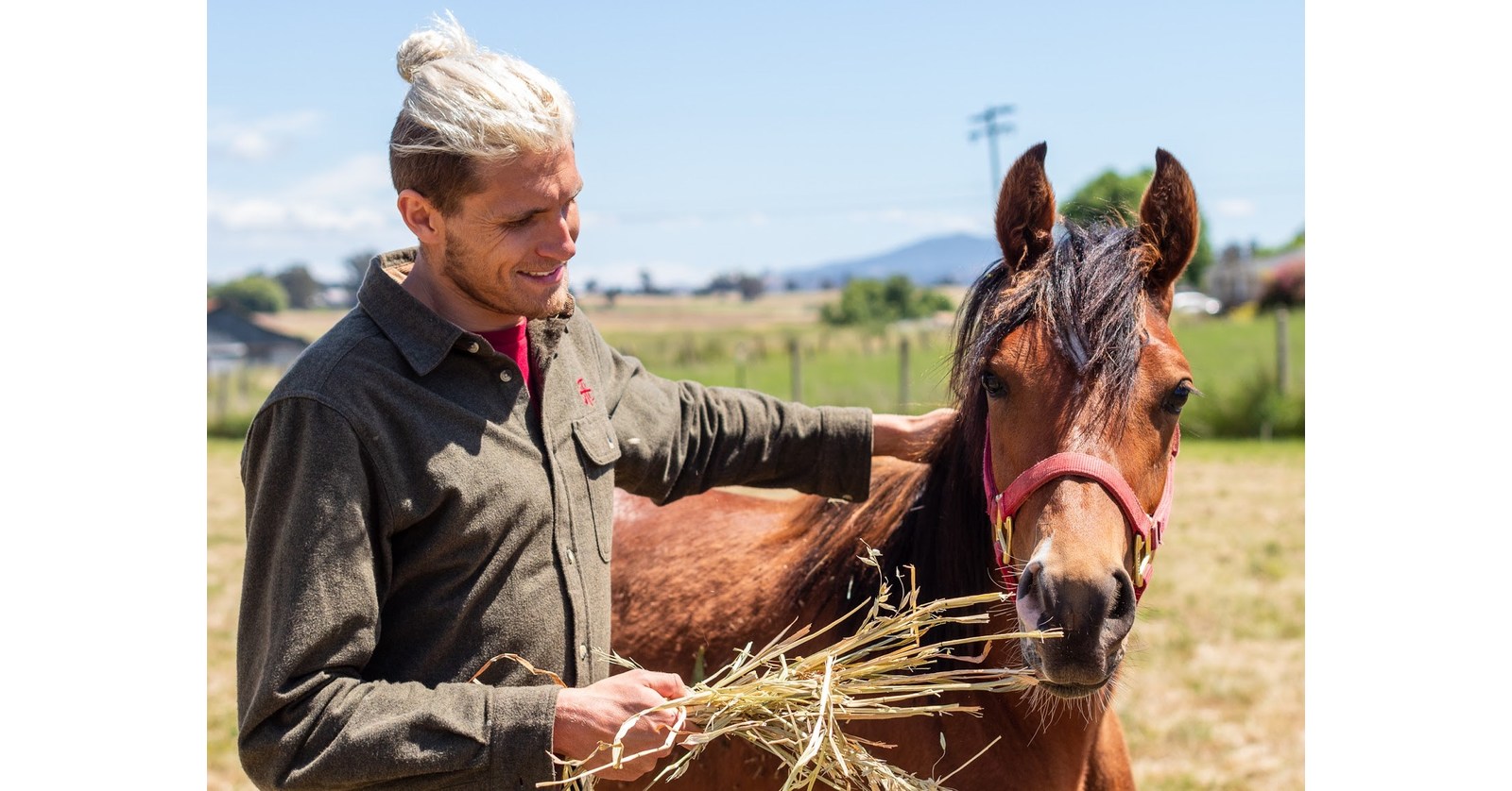 Wavelengths Recovery Set to Launch Equine Therapy Program This Summer