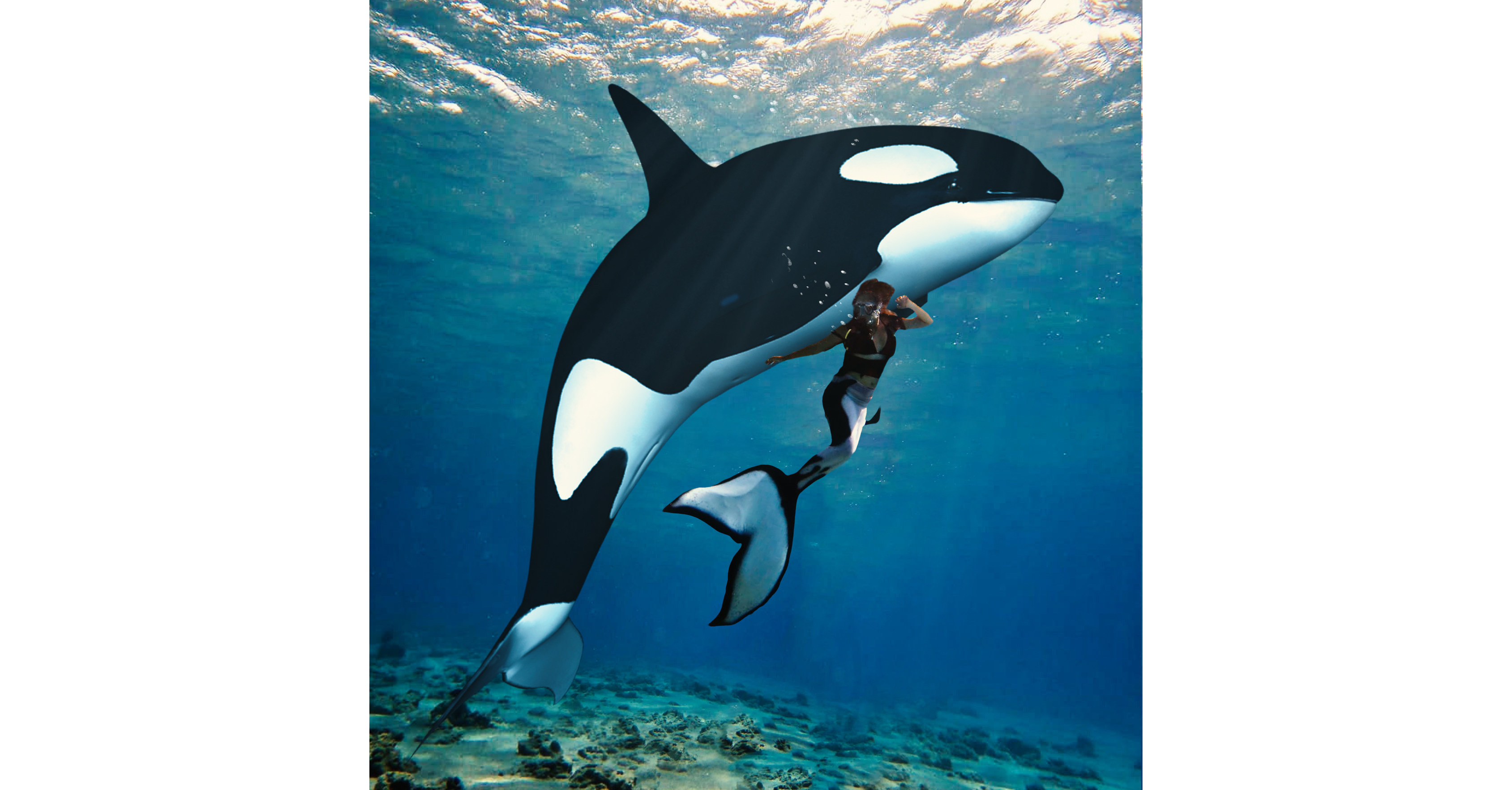 The First Global Mermaid Outreach - World Ocean Day on June 8th