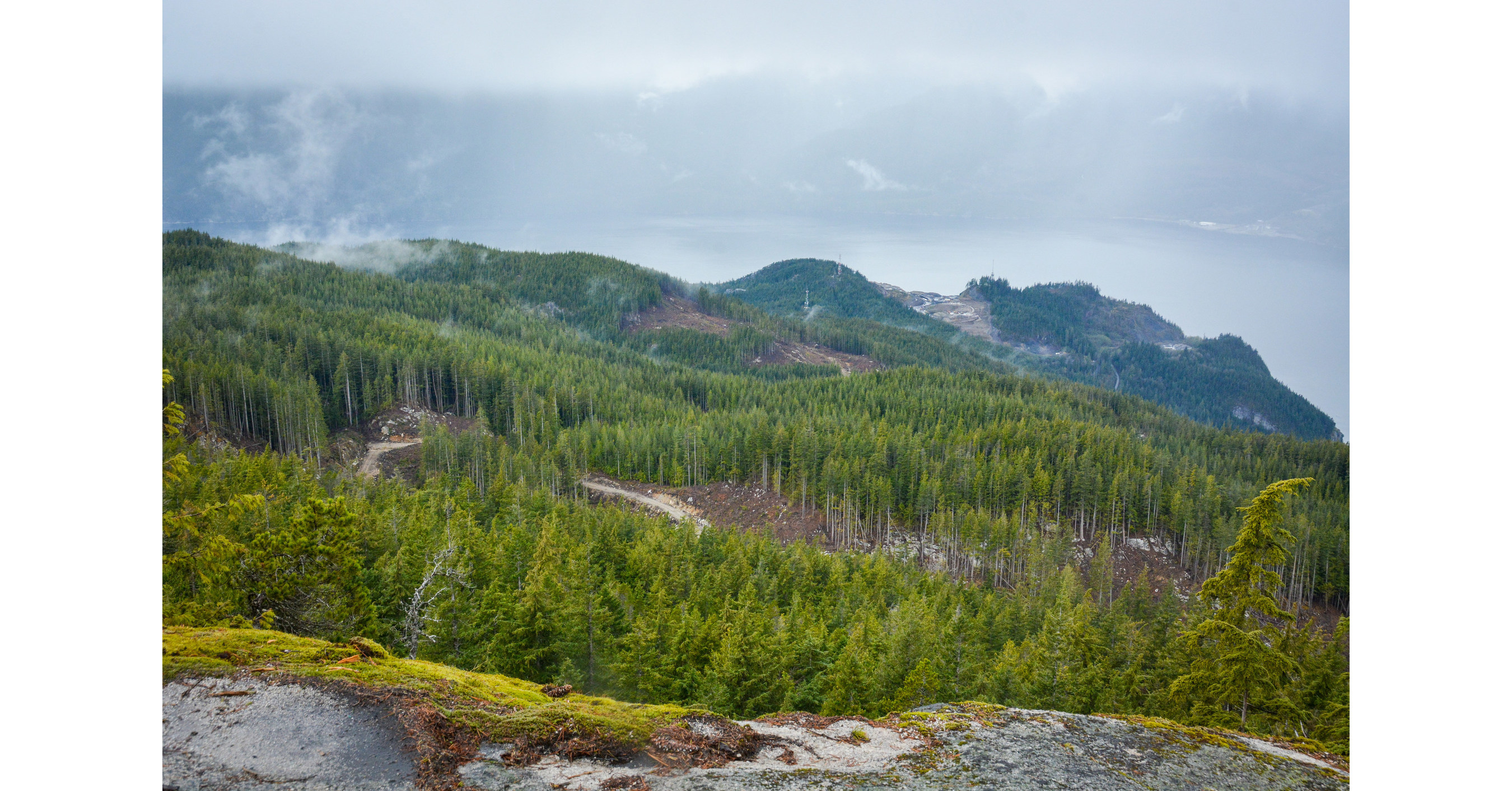Squamish Nation Demands Immediate Moratorium of Old-Growth Logging in ...
