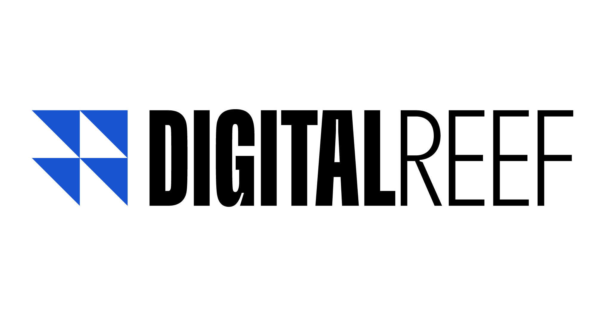 Presentando DigitalReef, plataforma de tecnología publicitaria y ...