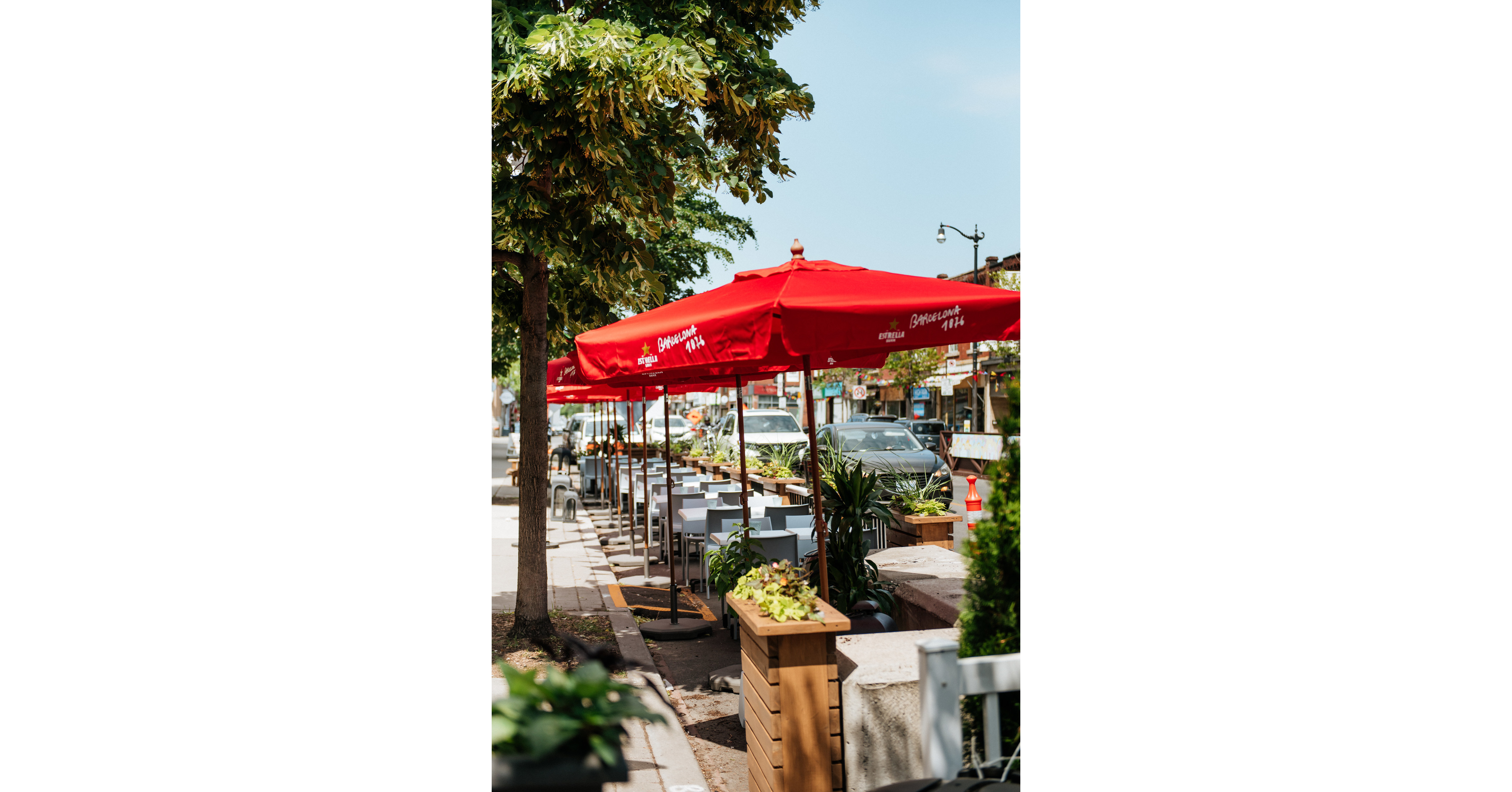 Patio Lover's Paradise Returns to the Junction