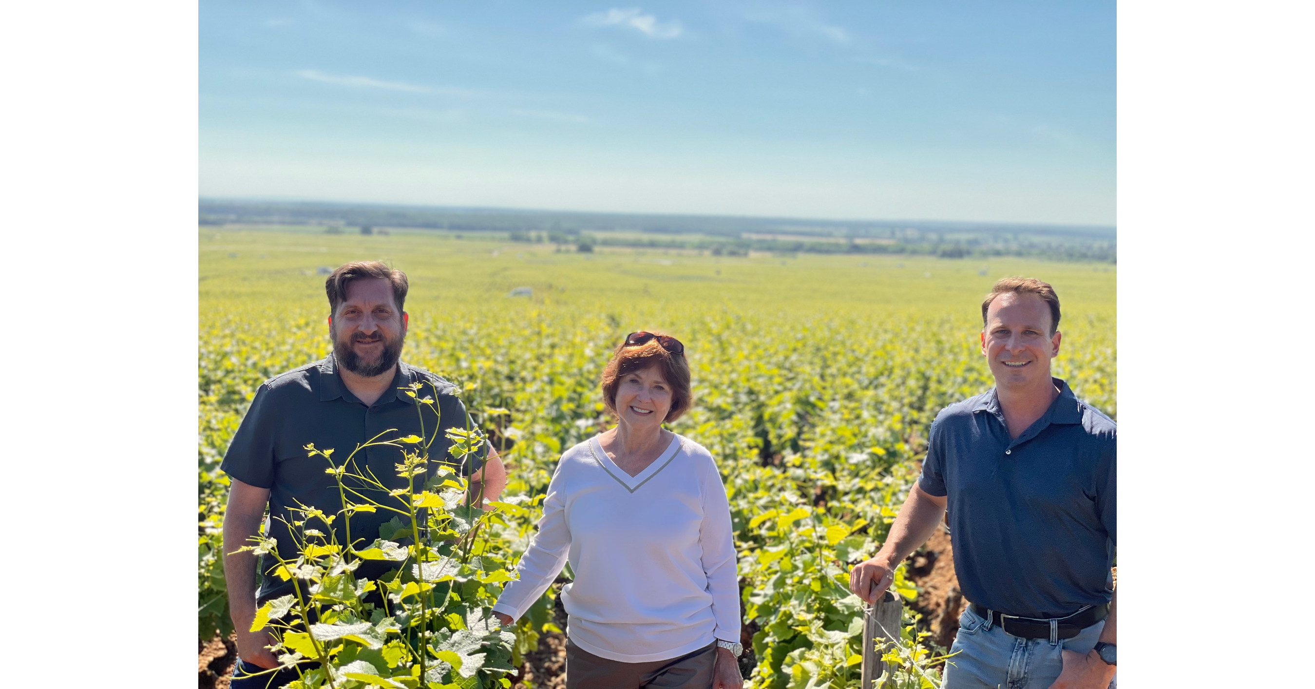 Evenstad Estates Announces Landmark Burgundy Vineyard Expansion