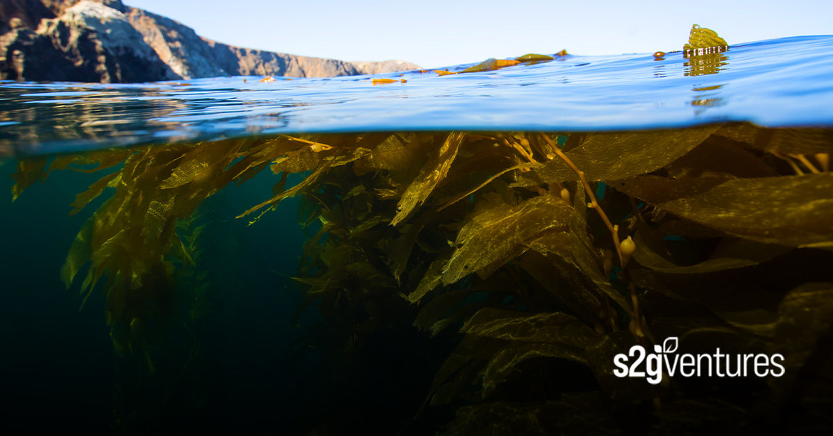S2G Ventures Announces its First Investments in the Blue Economy