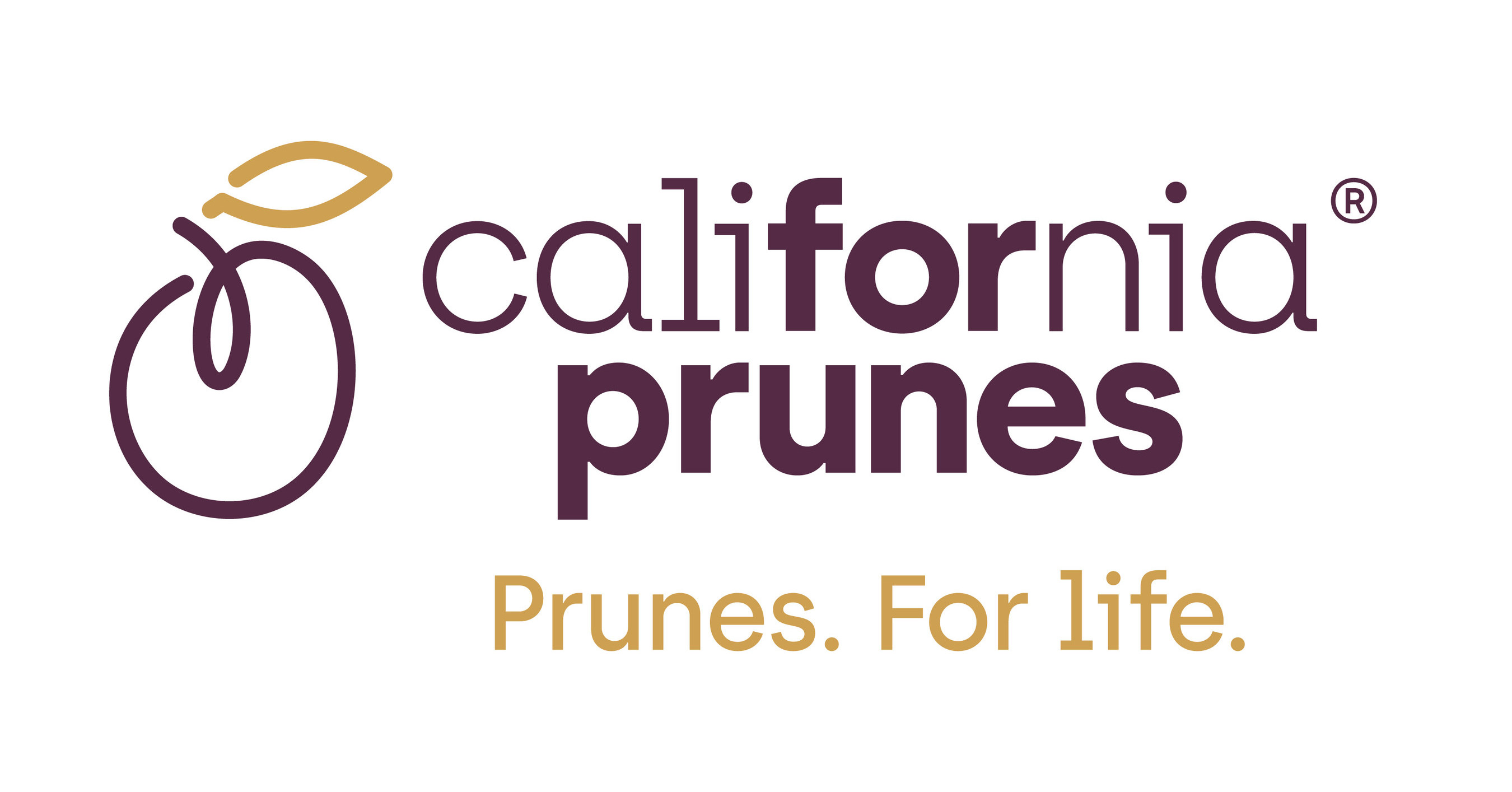 Prunes Prevent Bone Loss at Hip and Protect Against Fracture Risk