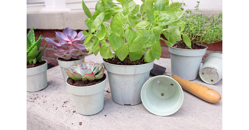 HC Introduces New Biobased Growing Containers to the Market