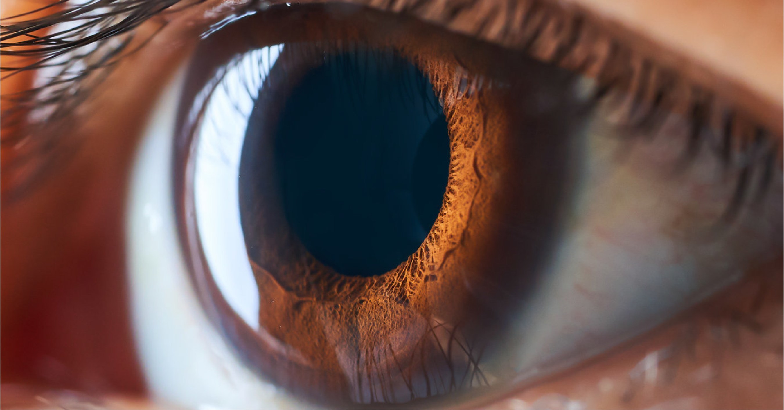 Japanese Eye Test Brilliant