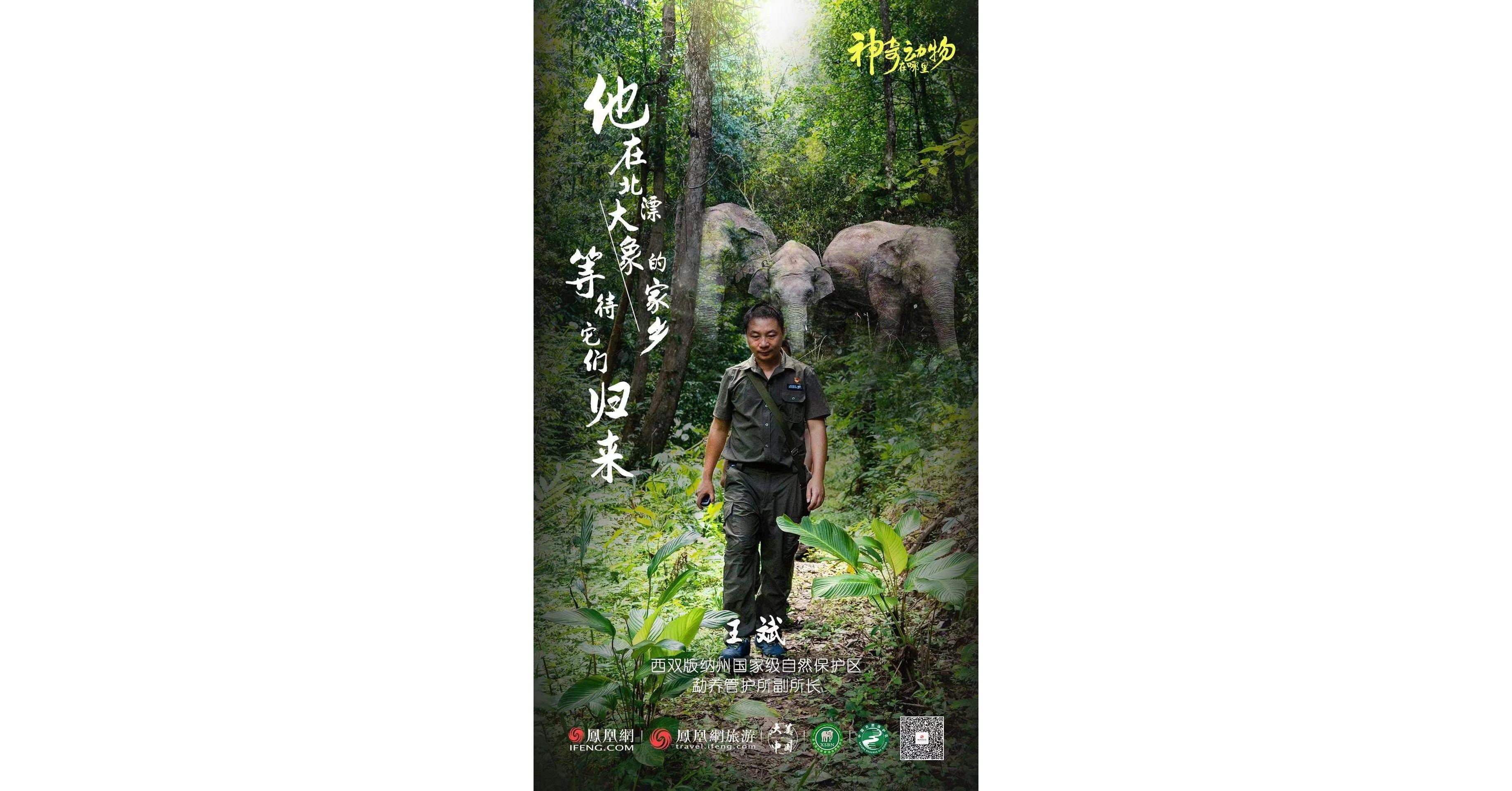 Epic journey of Asian elephant family