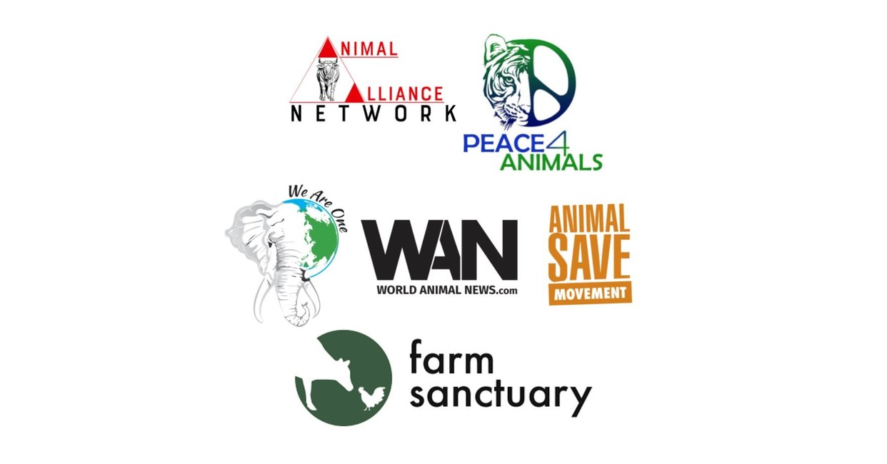 Peace 4 Animals Joins Coalition of Animal Welfare Organizations to ...