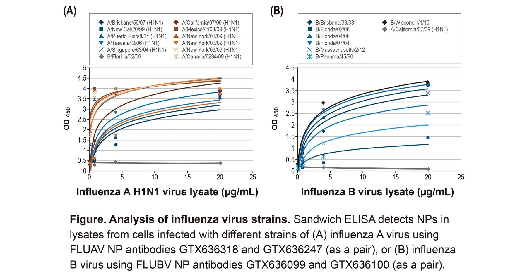 GeneTex Develops Recombinant Influenza Nucleoprotein Antibodies as ...
