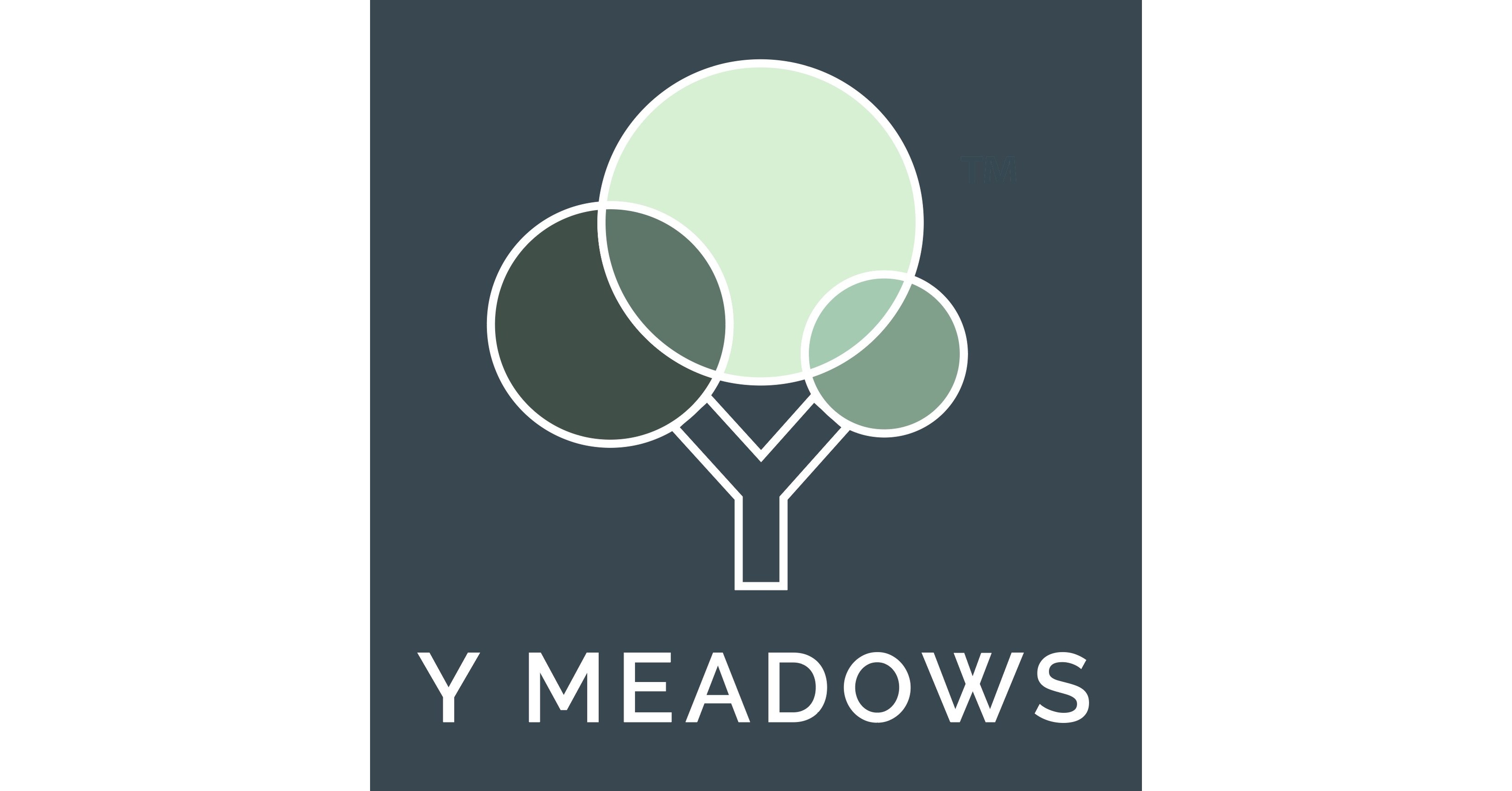 Y Meadows Completes SOC 2® Type 2 Examination for NLP based Customer ...