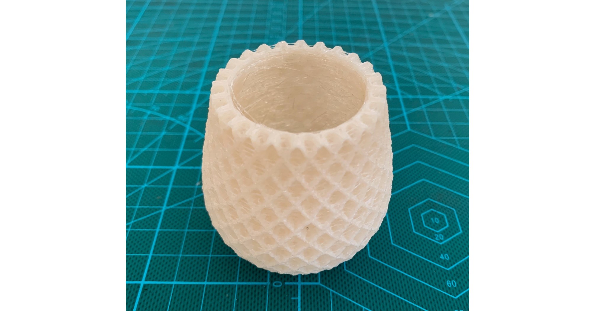 Green Science Alliance Developed Nature Biomass Biodegradable 3D ...