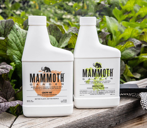 Growcentia Launches Into Consumer Garden Market, Announces Mammoth ...