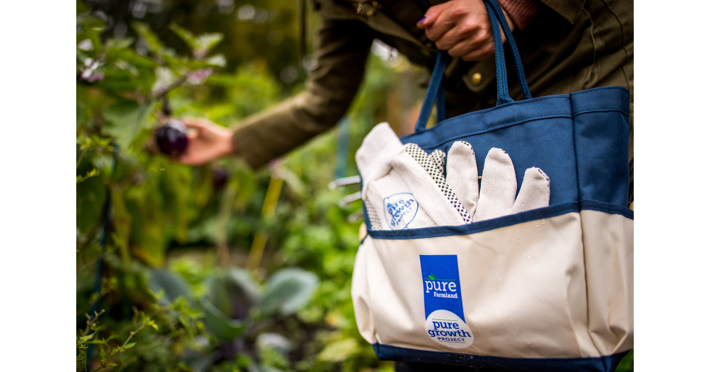 Pure Farmland™ Awards $125,000 To Local Gardens And Farms