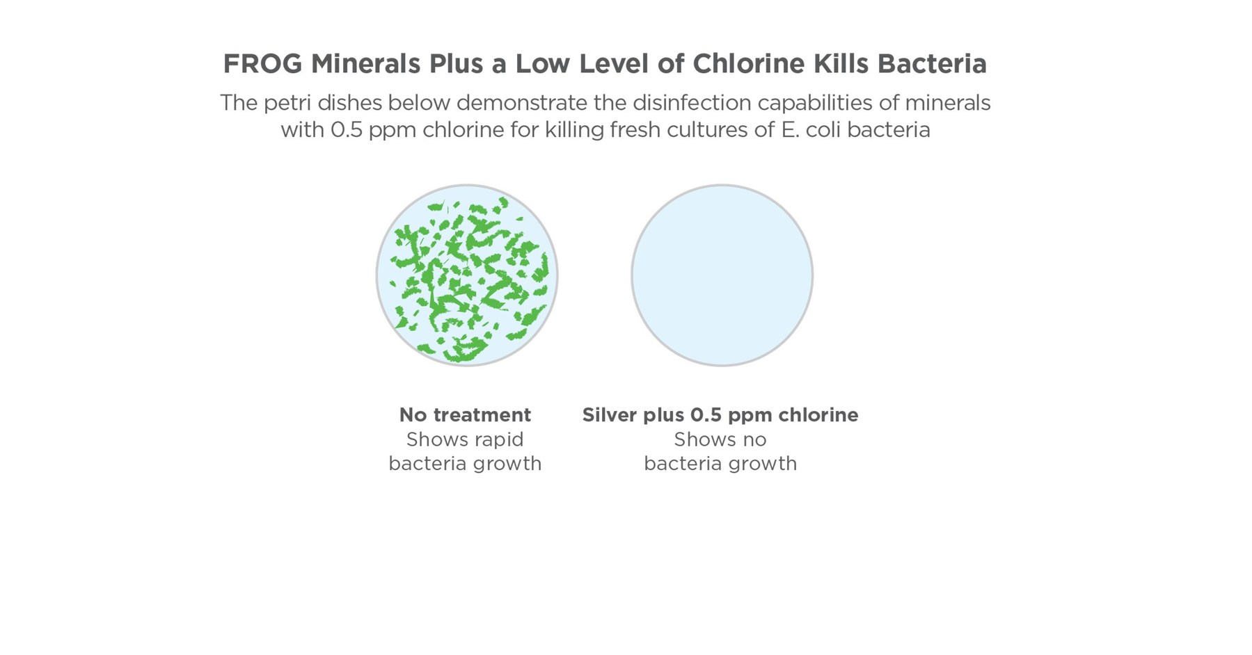 Minerals Reduce Chlorine Use and Kill Bacteria