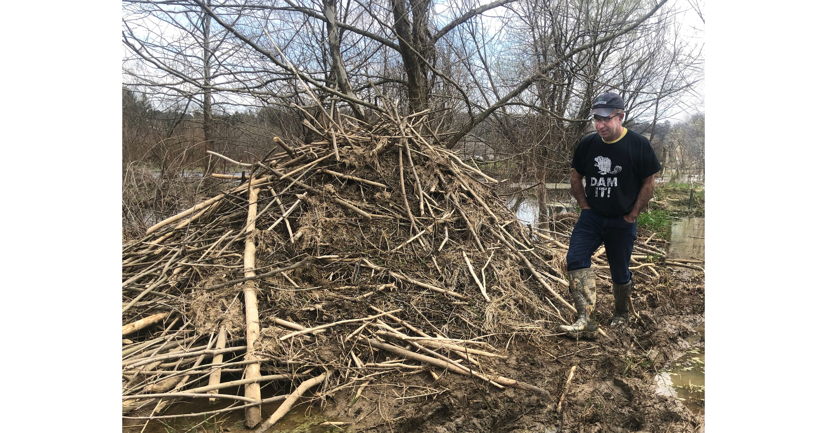 Ecotone and L2 Capital Partners Team Up to Increase Environmental Impact