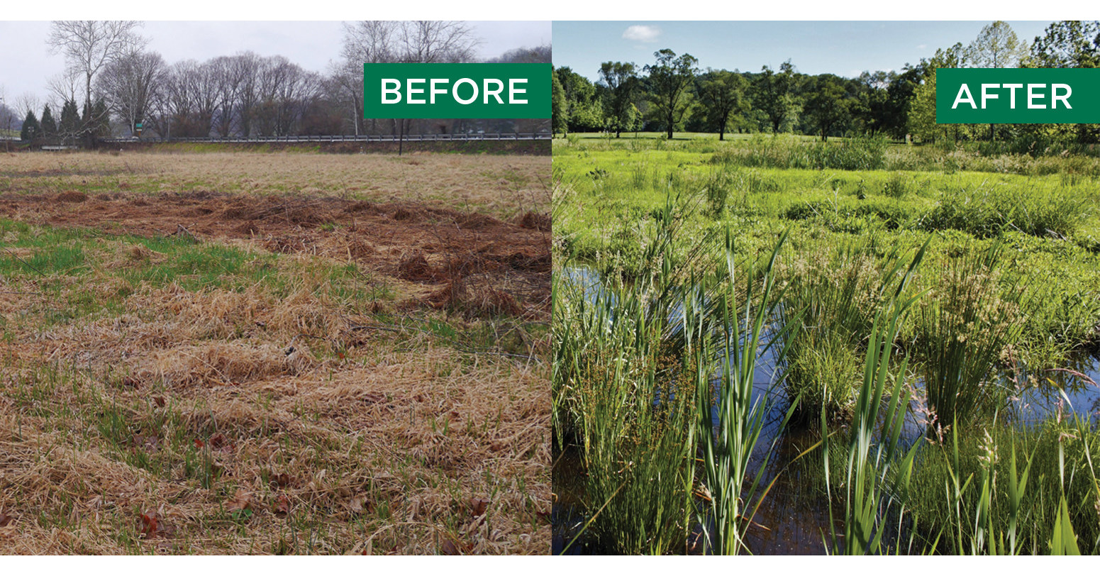 Ecotone and L2 Capital Partners Team Up to Increase Environmental Impact