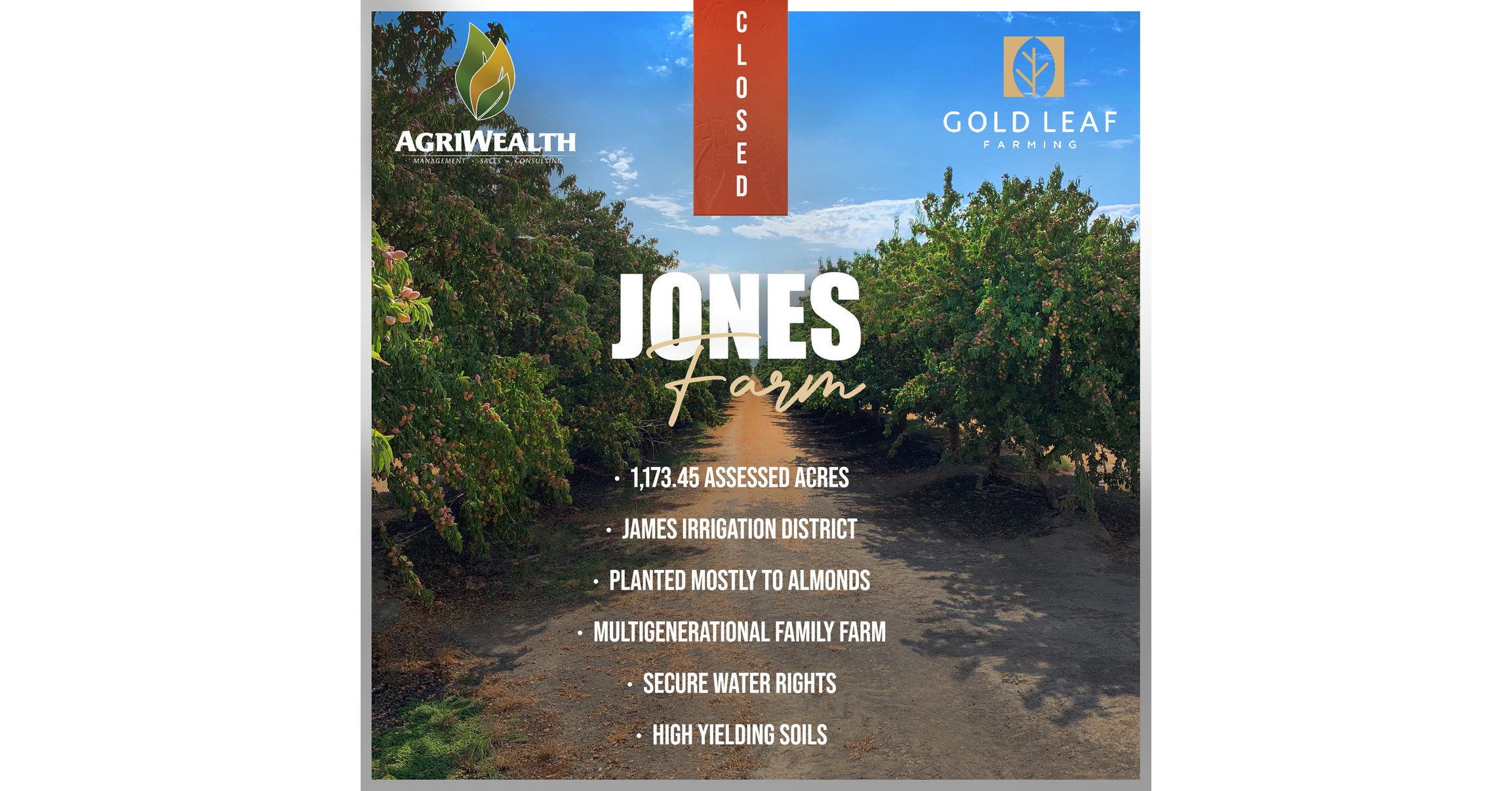 Gold Leaf Farming Acquires 1,174 Acres of Almonds in James ID