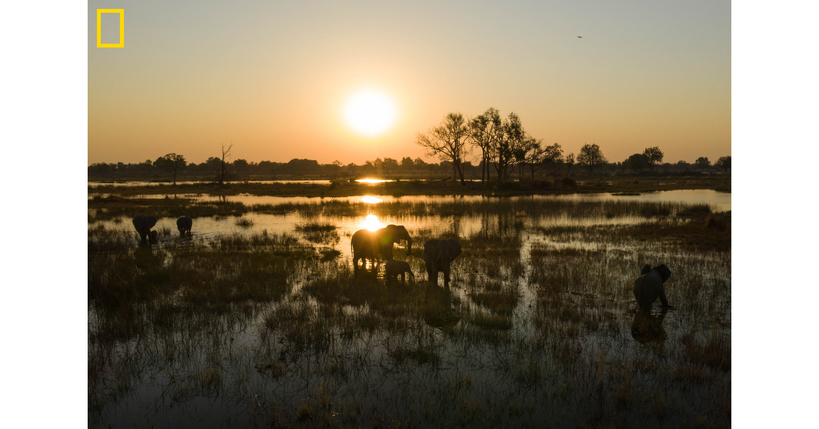 De Beers and National Geographic Partner to Protect a Natural Wonder