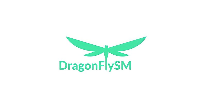 DragonFlySM: Simplifying Workflow for Every Professional