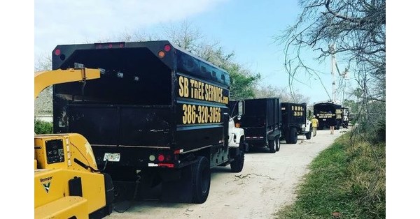 As Hurricane Ida Lashes the Louisiana Coast, Tree Service Experts Bring ...