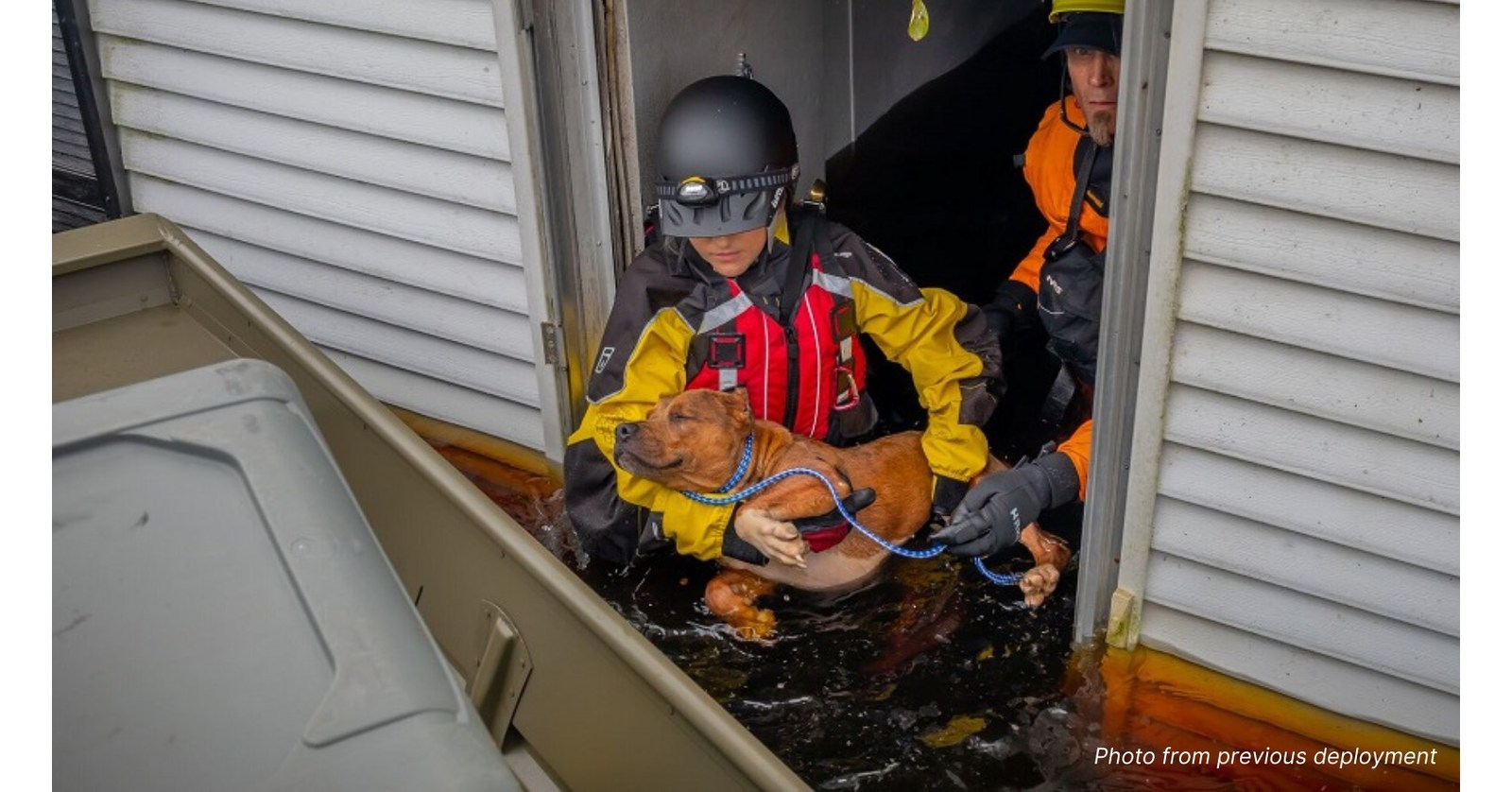 Help is on the Way! American Humane Rescue Team Rushing to Evacuate ...