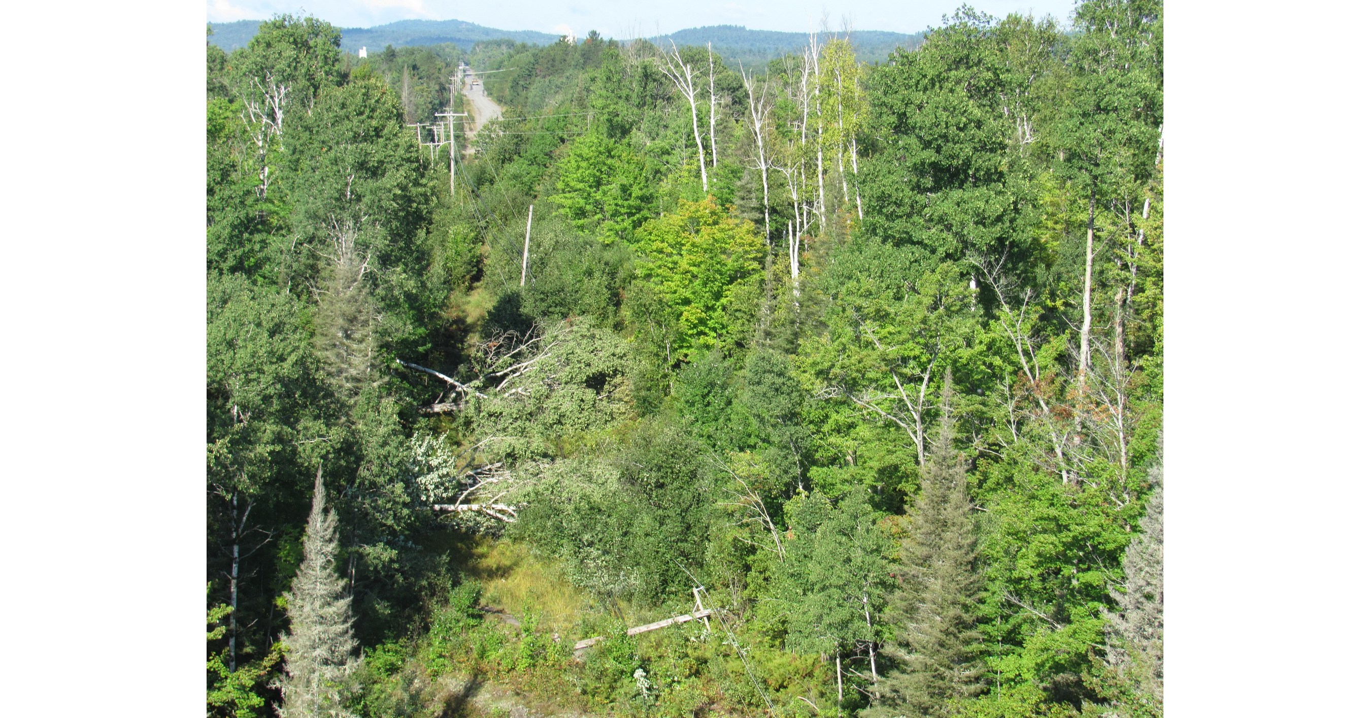 Hydro One crews restore power to more than 84,000 customers following ...