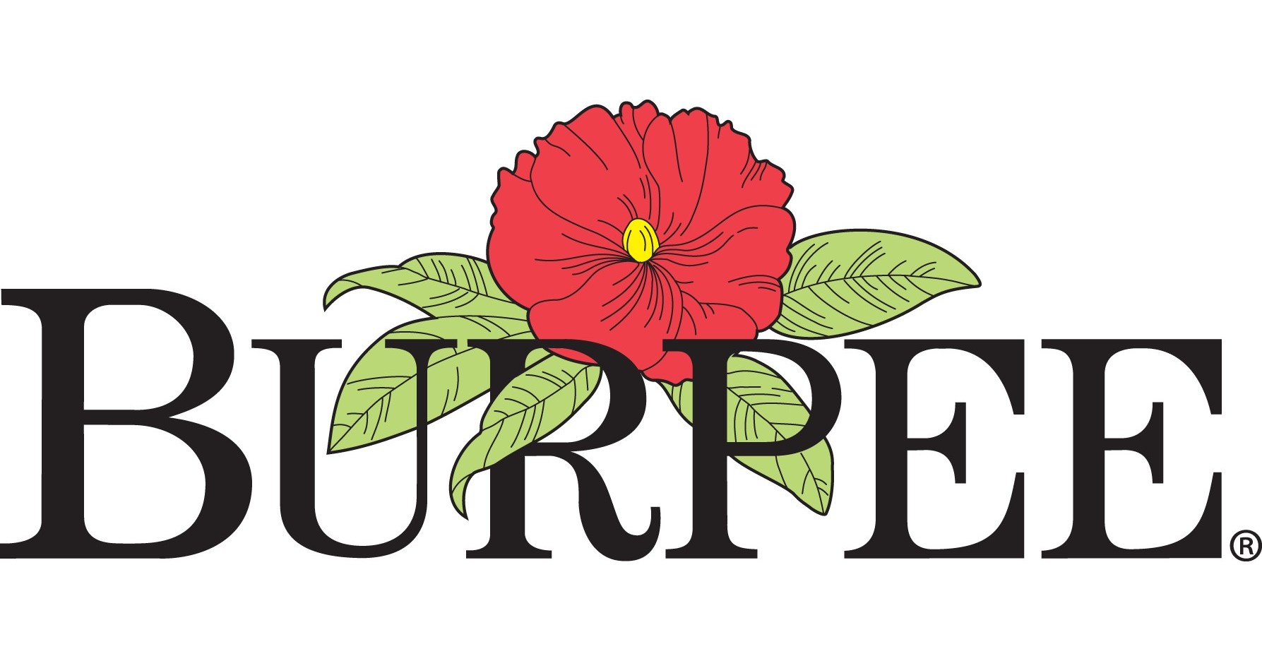 America's Community Gardens Step Up Fight to End Food Insecurity With ...