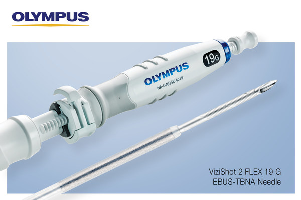 ViziShot 2 FLEX 19 G EBUS-TBNA Needle effective tool in helping guide ...