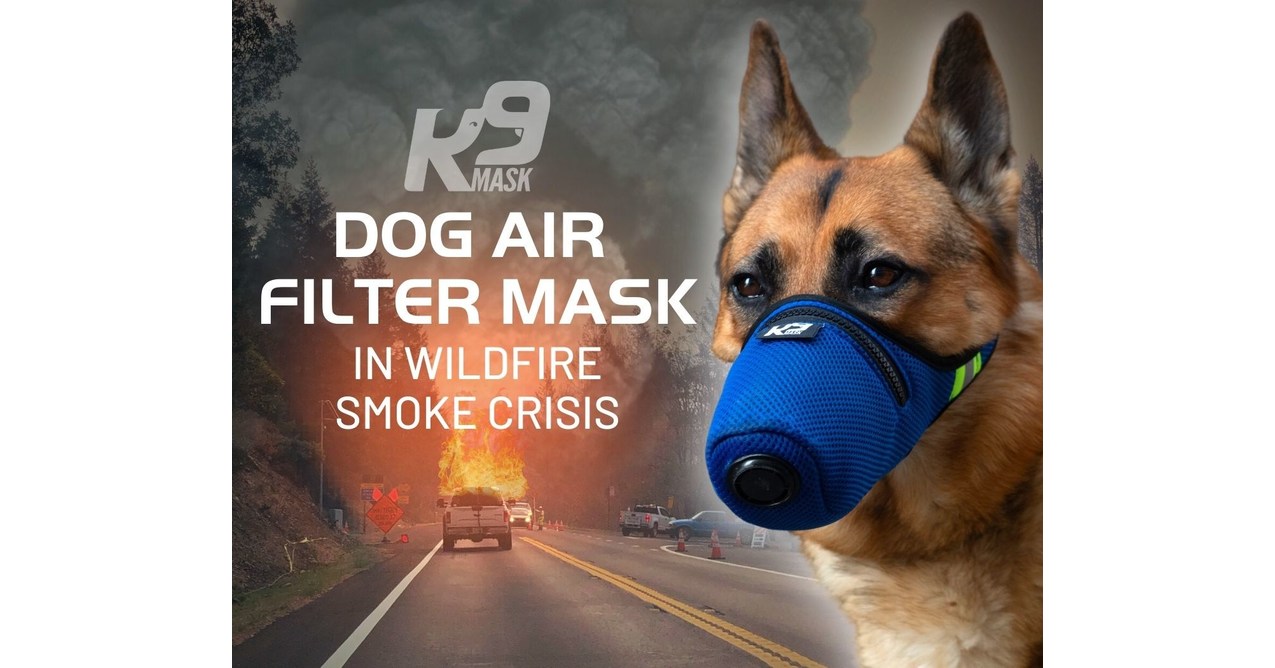 Protecting Dogs from Wildfire Smoke with Air Filter Mask Innovation