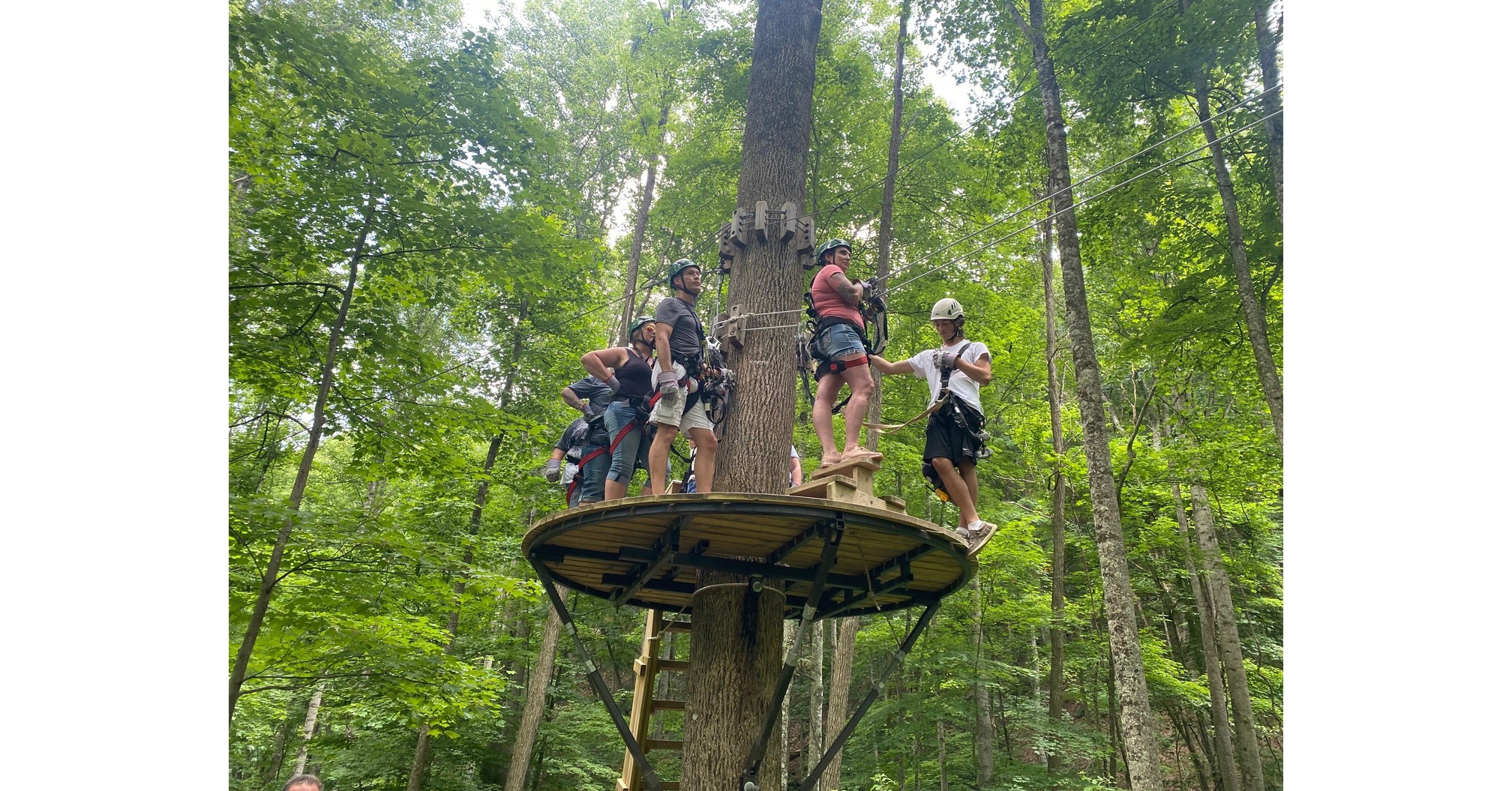 Ziplining Over the Fall Colors of West Virginia