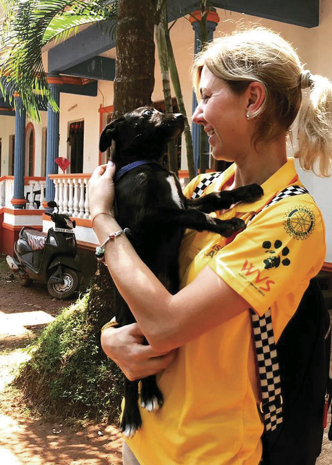 Rabies Prevention